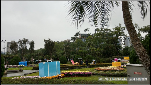 2017年士林官邸菊展 (23) - Gifyu